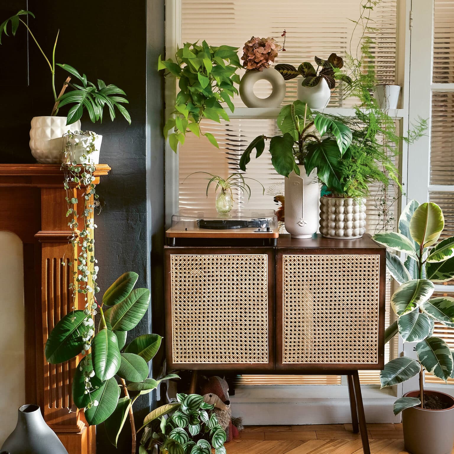 8 Ways to Breathe New Life into a Space with Plants - The Study