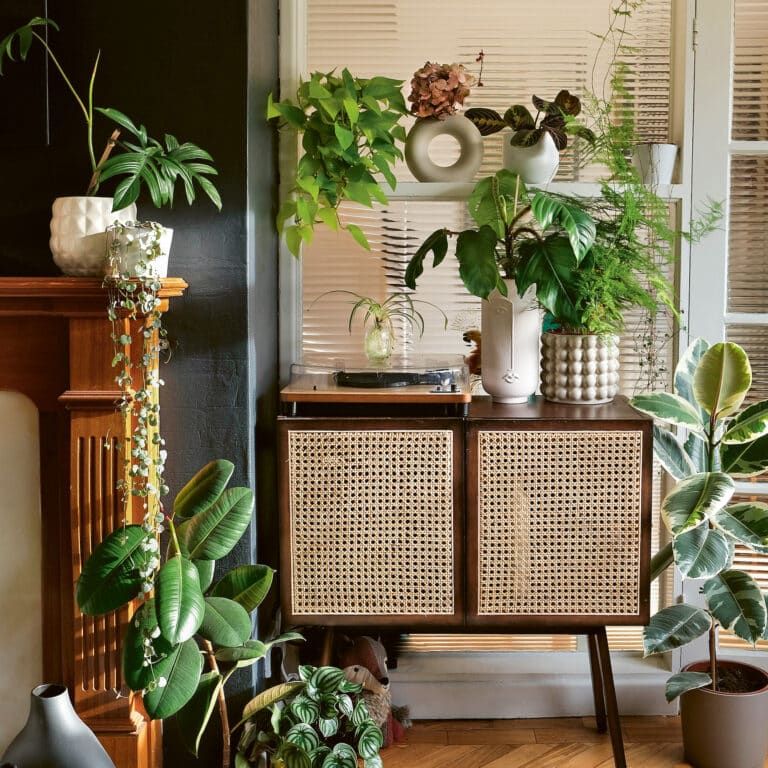 8 Ways to Breathe New Life into a Space with Plants | The Study