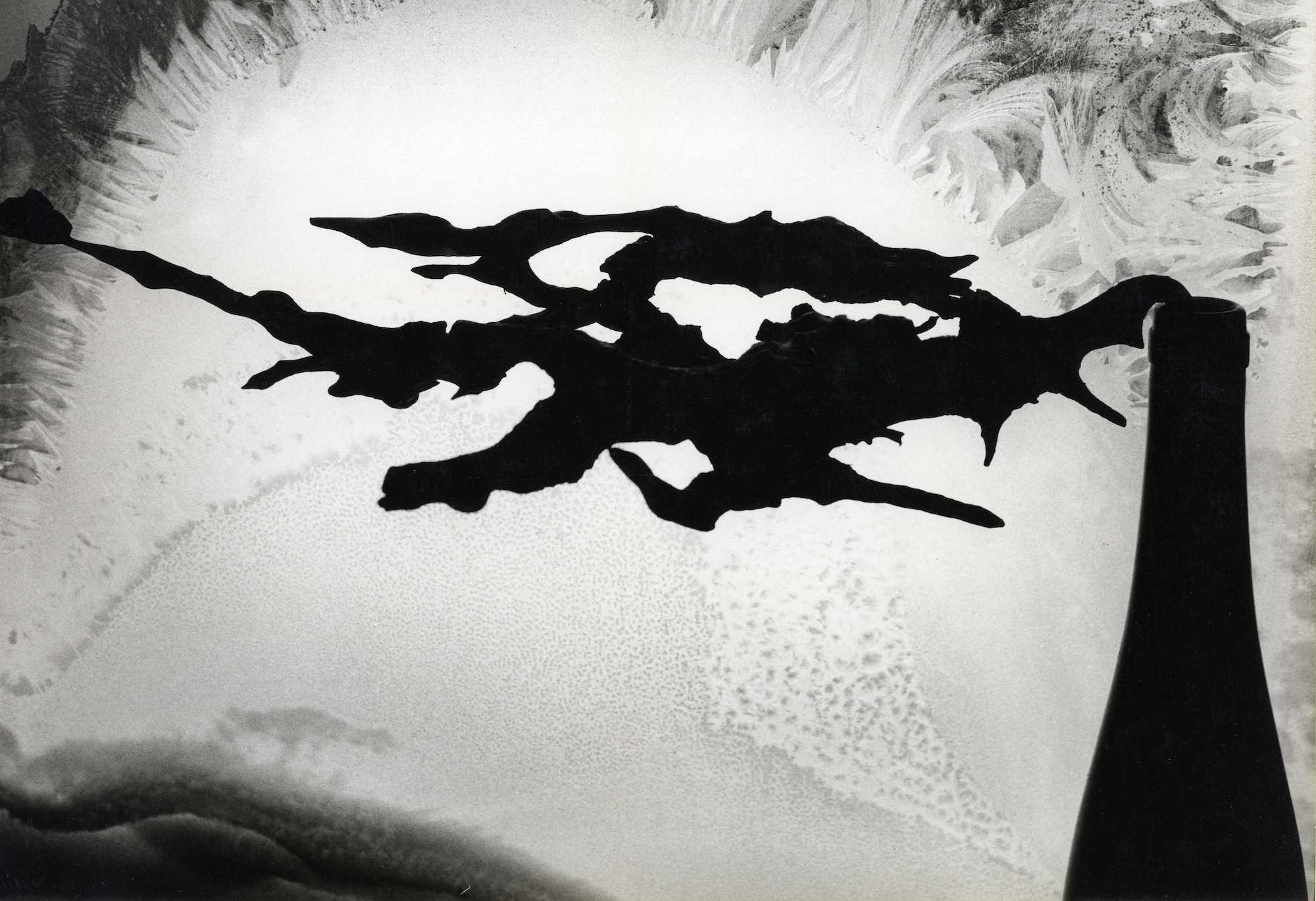 7 Impactful Pictures to Seek Out at the Photography Show in New York ...