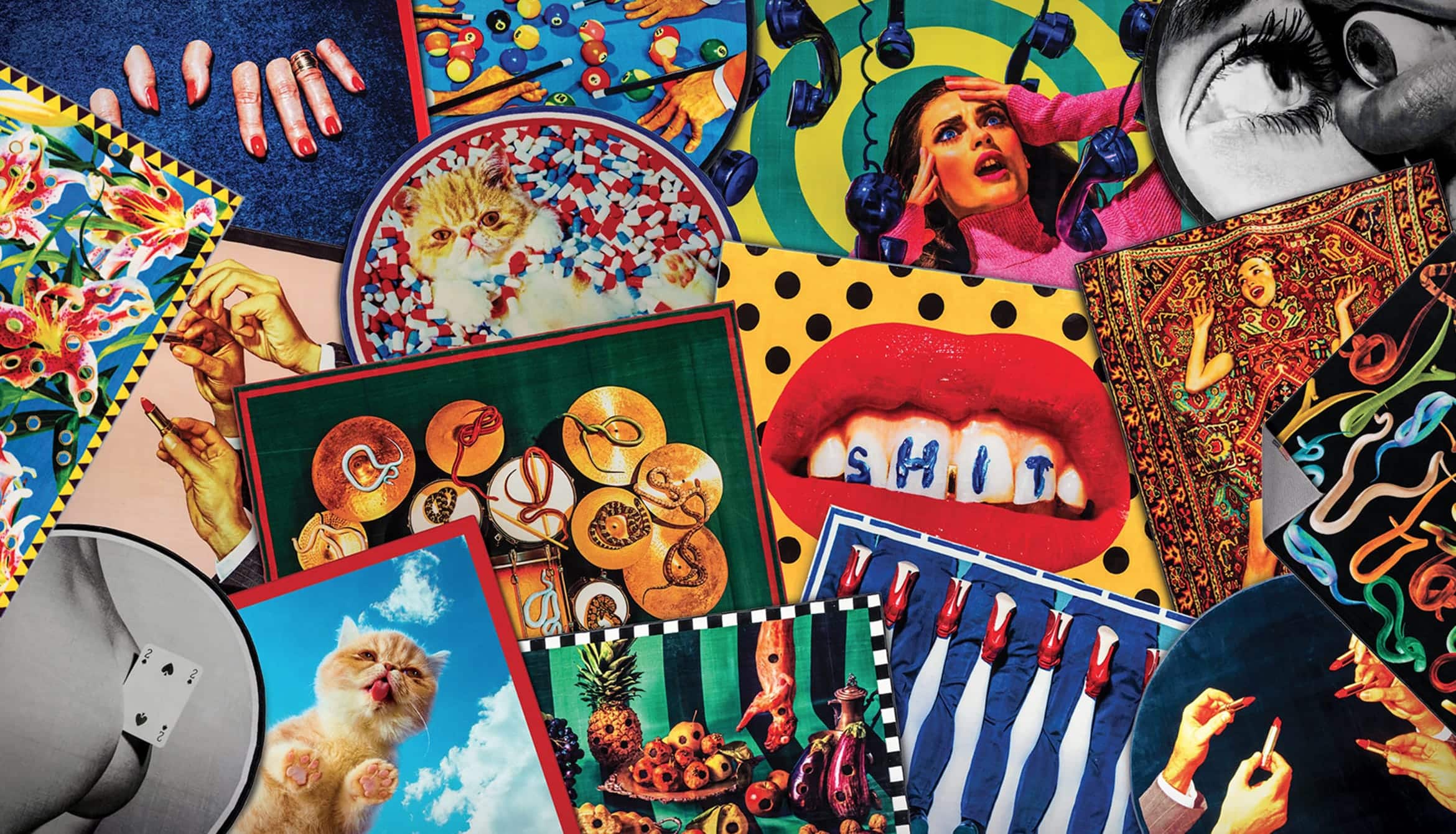 The Ultra-Pop, Maxed-Out, Feisty Creativity of Stefano Seletti - The Study