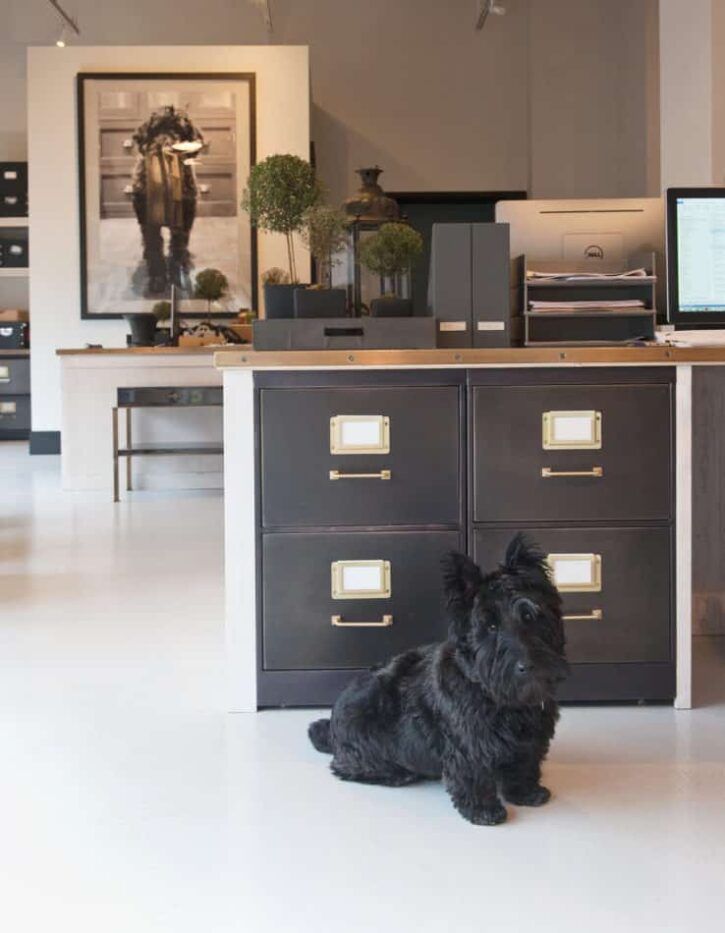 17 Dog-Friendly Interior Design Ideas | The Study